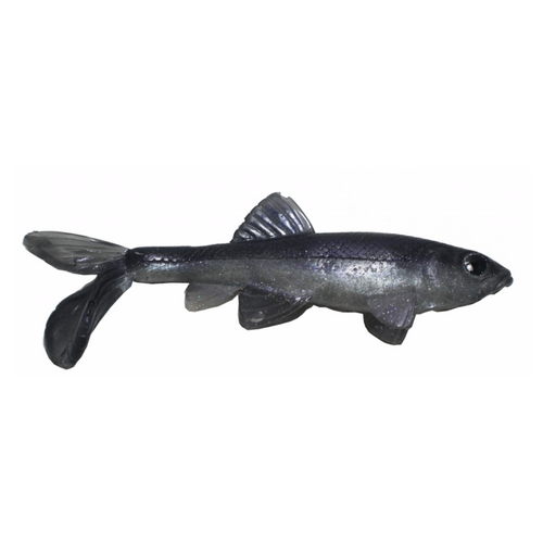Little Creeper All American Trash Fish 6" – Coyote Bait & Tackle