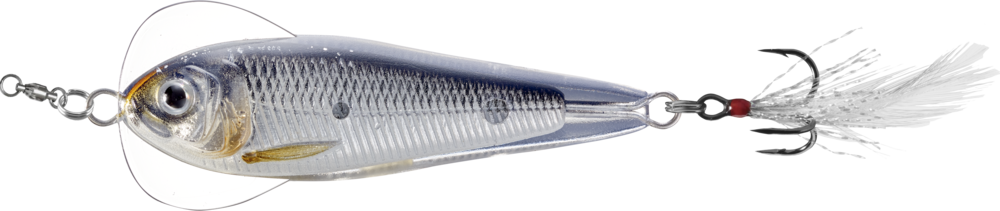 Live Target Flutter Shad – Coyote Bait & Tackle